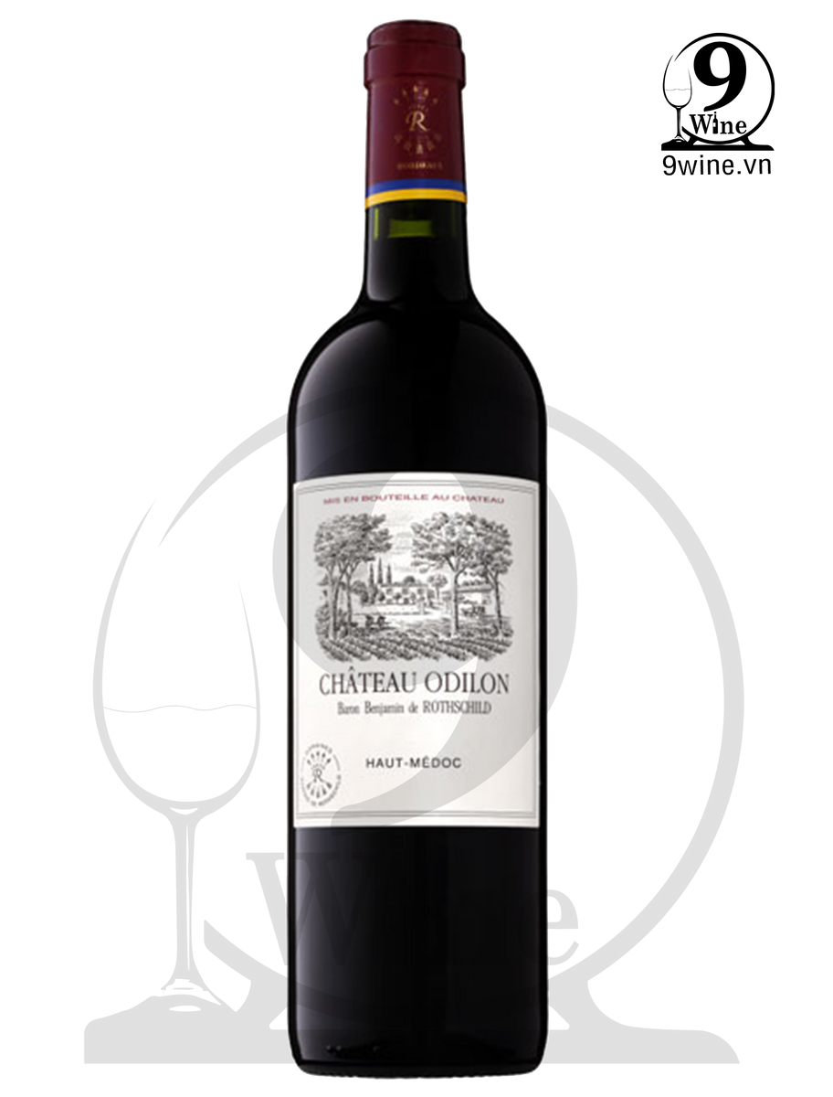 Rượu Vang Chateau Odilon – 9Wine